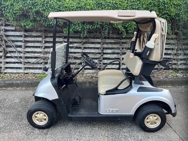 EZGO RXV GOLF CART Electric 2016
